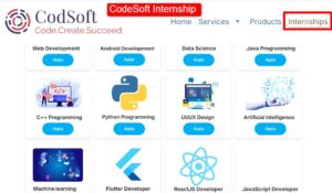 CodeSoft Internship 2026 - The Internship